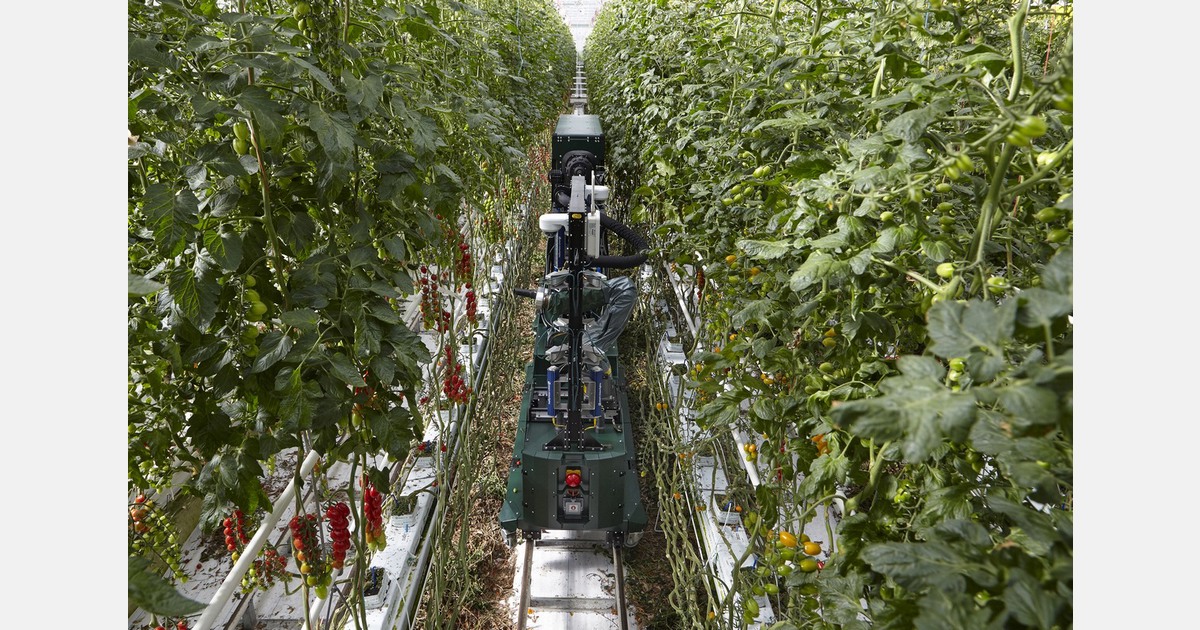 Faster-than-humans harvesting robot now also picks cucumber