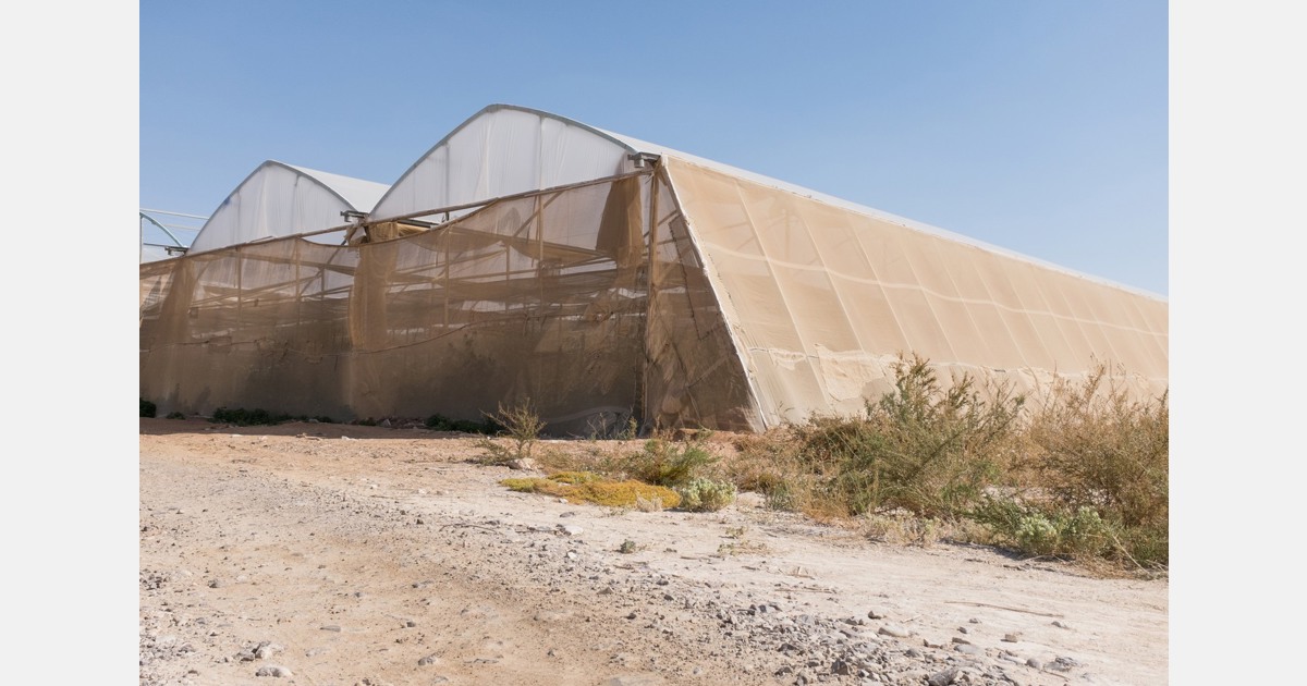 Pakistan gets new greenhouse at Sindh Agriculture University