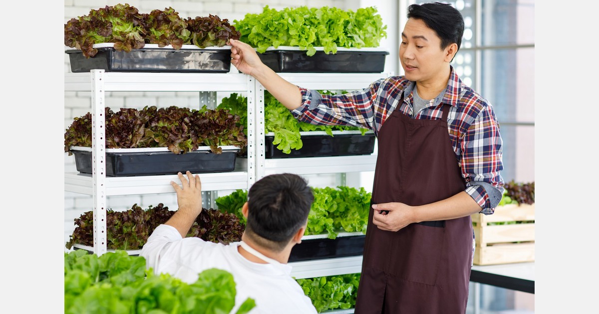 Indoor growing breakthrough: Plant a thermostat, increase crop yield