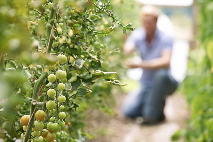 Grower in the Spotlight