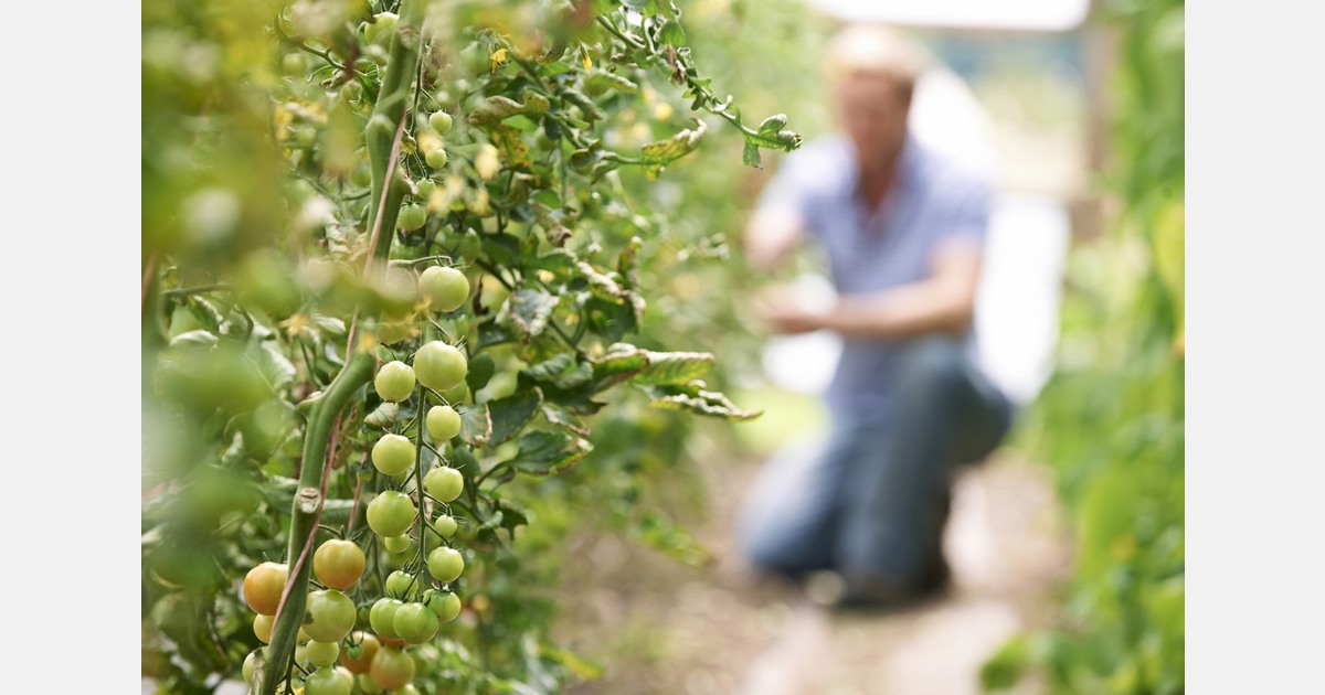 Albania announces changes to national Agriculture Scheme