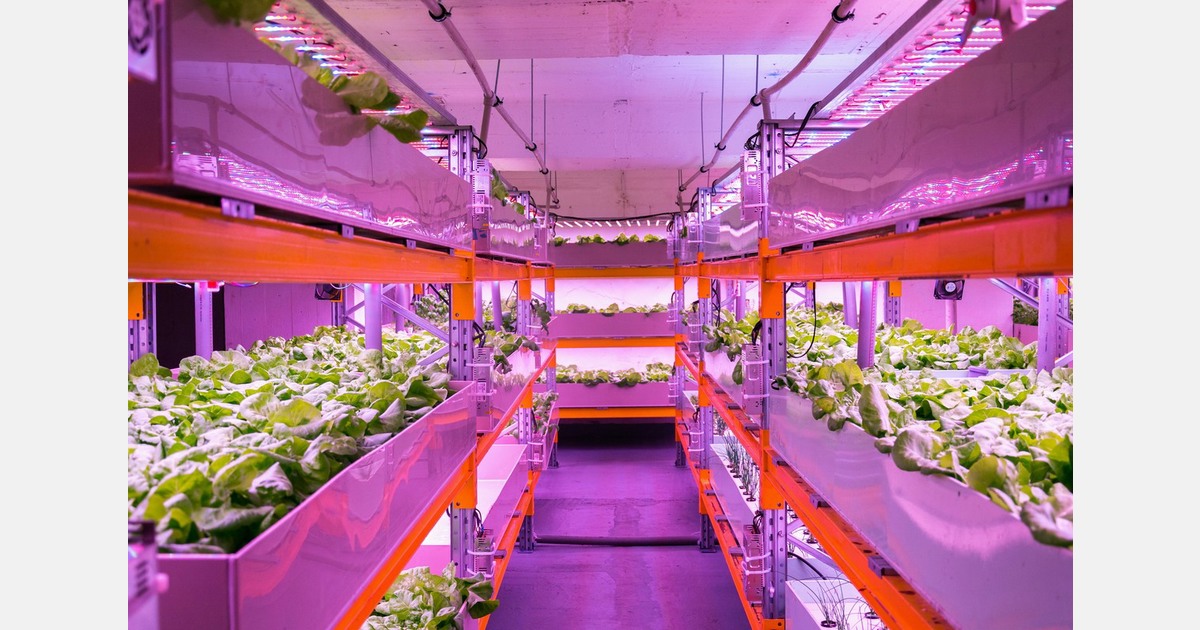 CubicFarm announces the granting of four new hydroponic patents