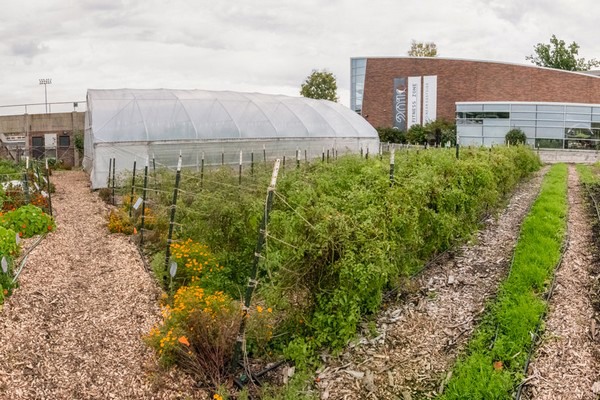 US: Helping urban growers navigate local policies