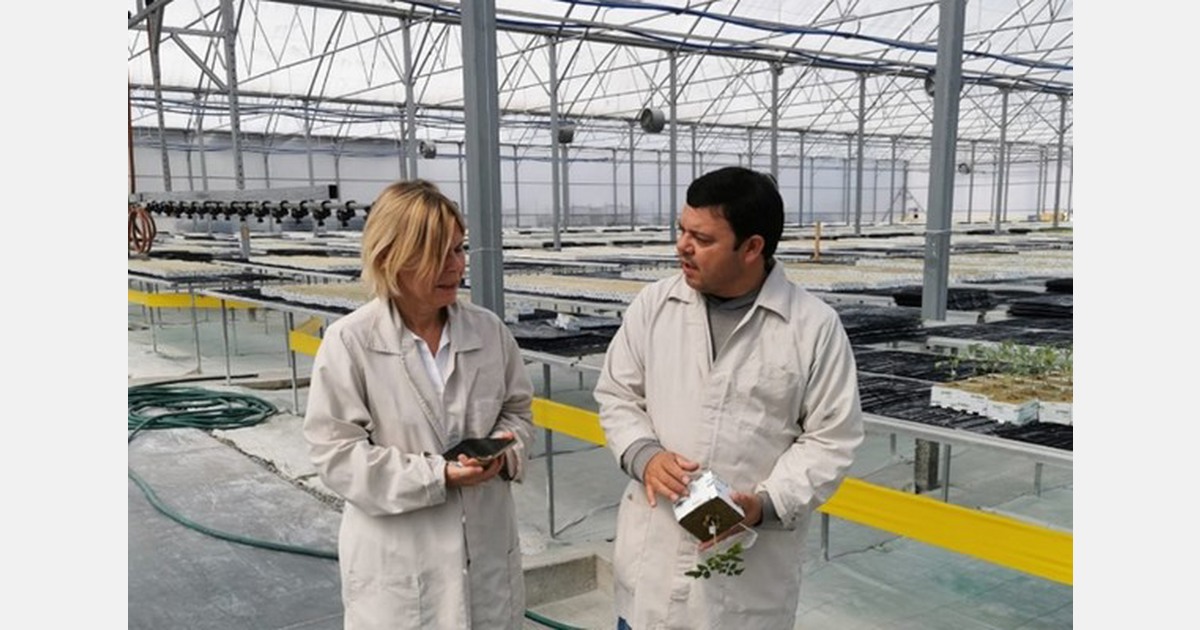 Maintaining A High Level Of Insect Control Is Always A Priority