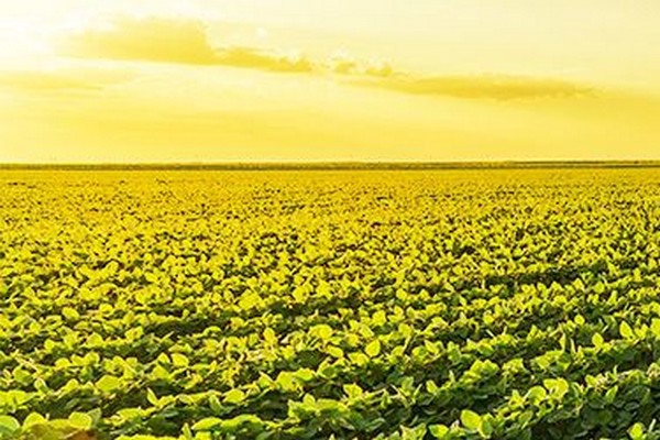 SCS Global Services to offering ProTerra certification