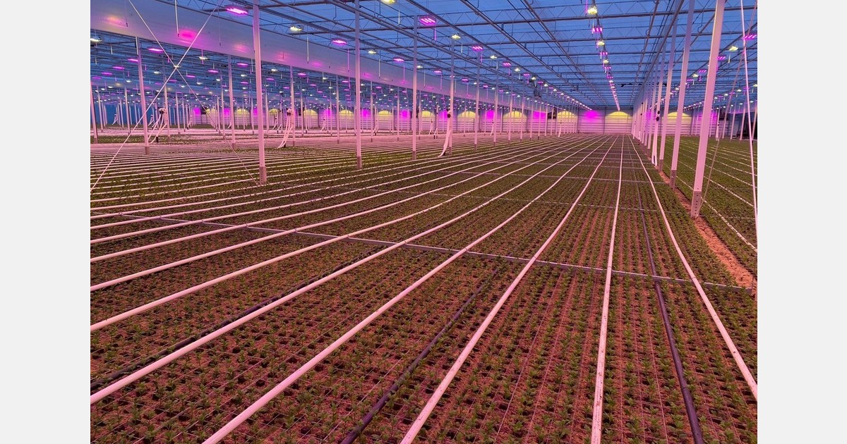 LED light measurement: Determining rules in advance is essential