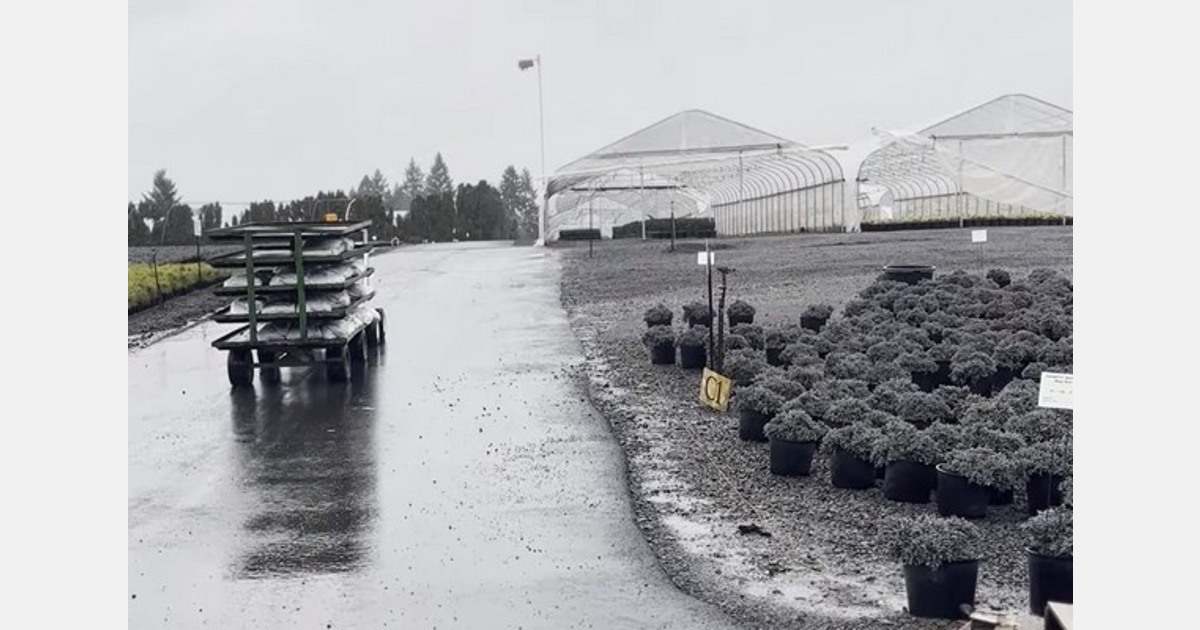 New labor-saving robot unveiled