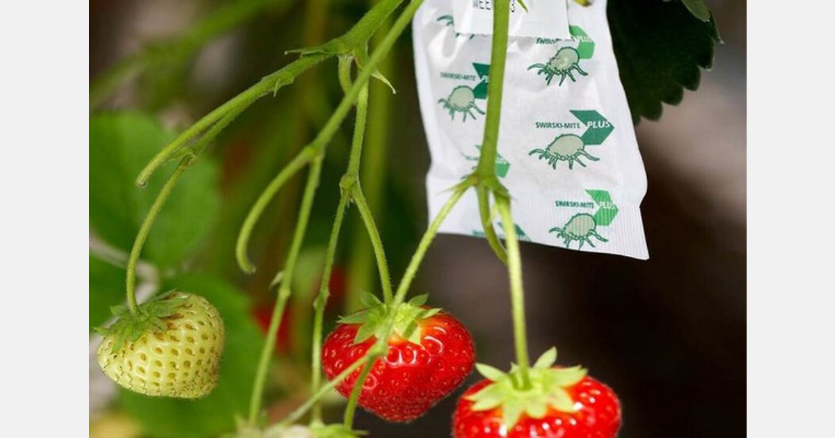 Roundtable discussion on the potential market opportunities of ...