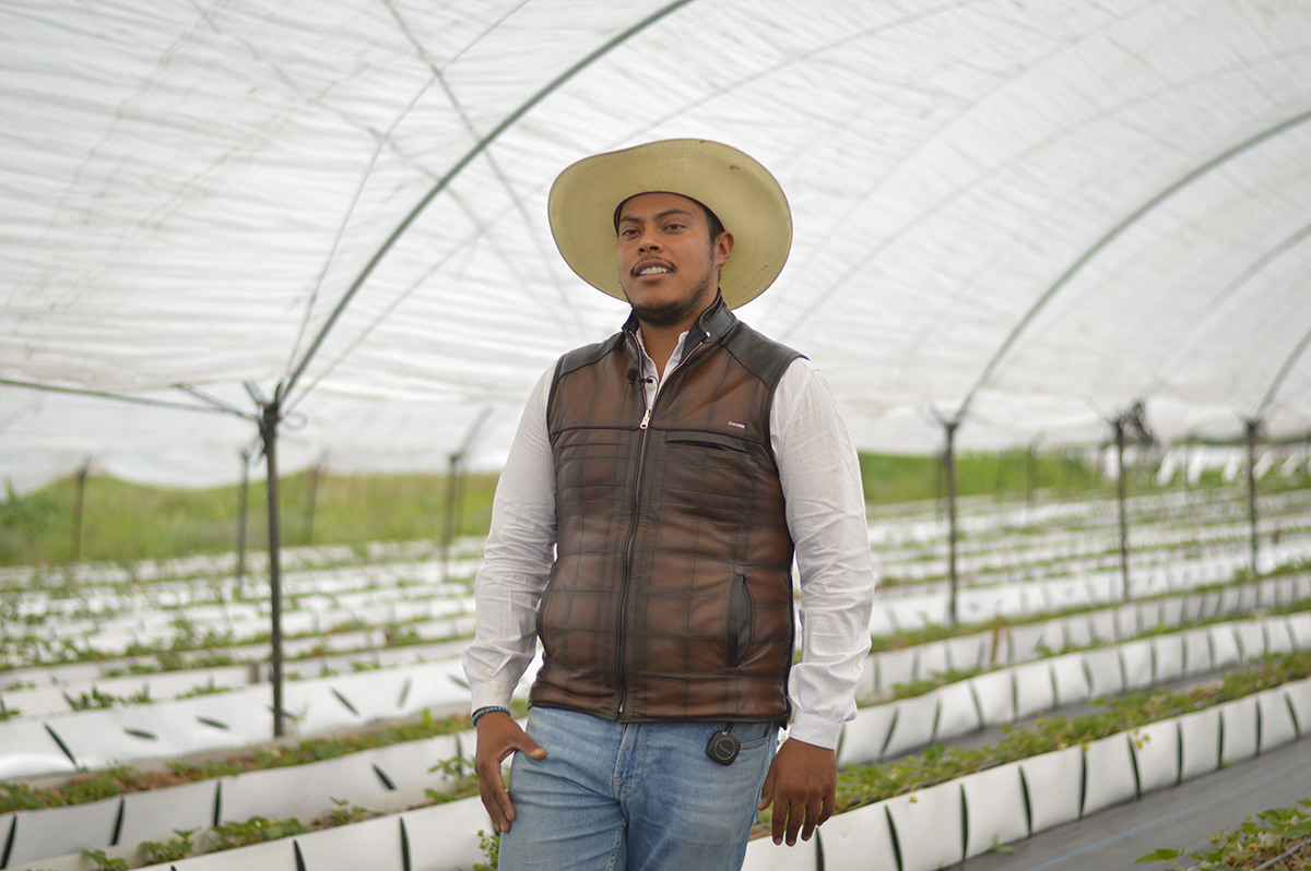 We Want The Substrate To Have Thick Fibers To Ensure Enough Oxygenation