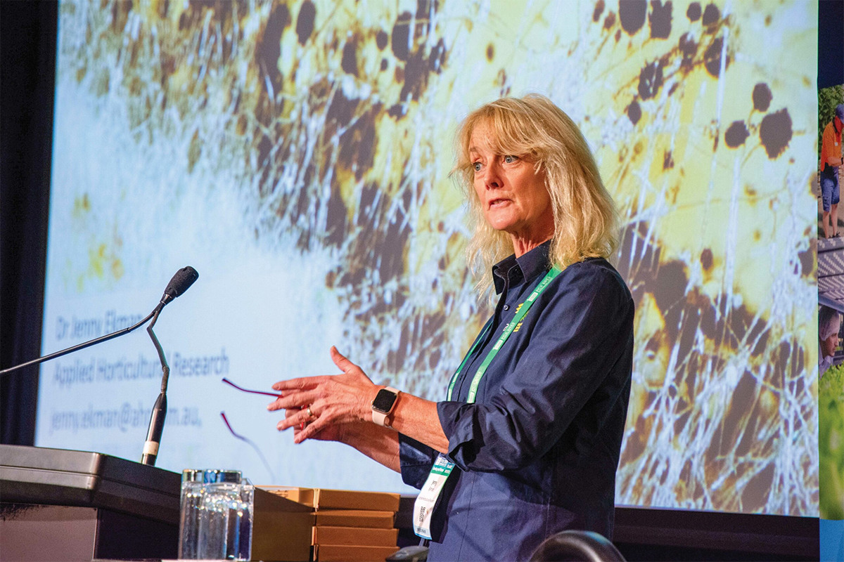 Tackling internal fruit rot in capsicum