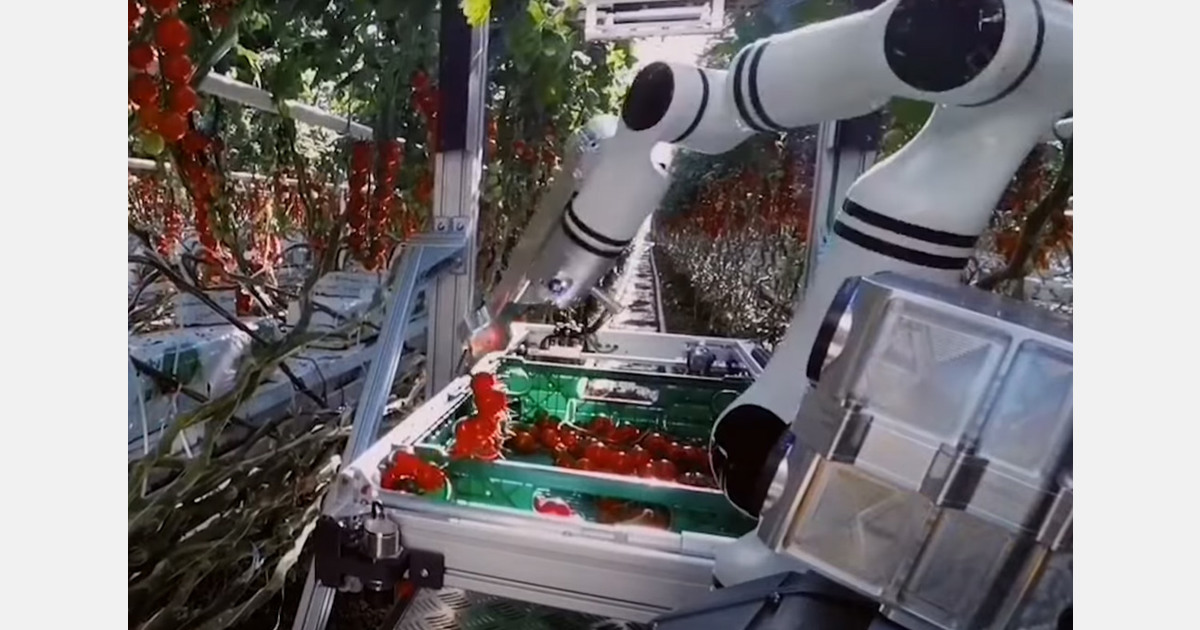 New picking robot for the greenhouse in pilot phase