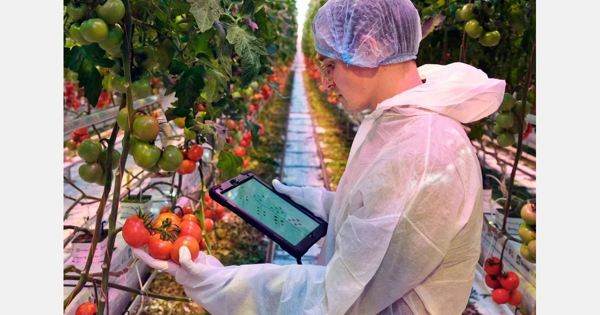 Syngenta speeds up breeding with AI greenhouse software