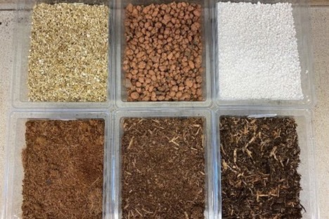 Substrates and starting materials