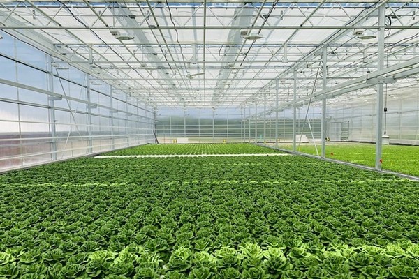 Edible Garden provides update on sustainability initiatives including ...