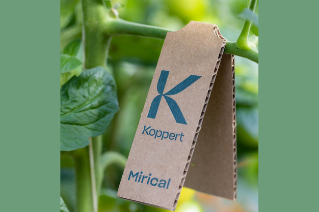 Release system wins innovation award Technology