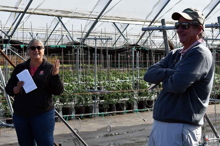Long-cane raspberry production with pine bark alternative