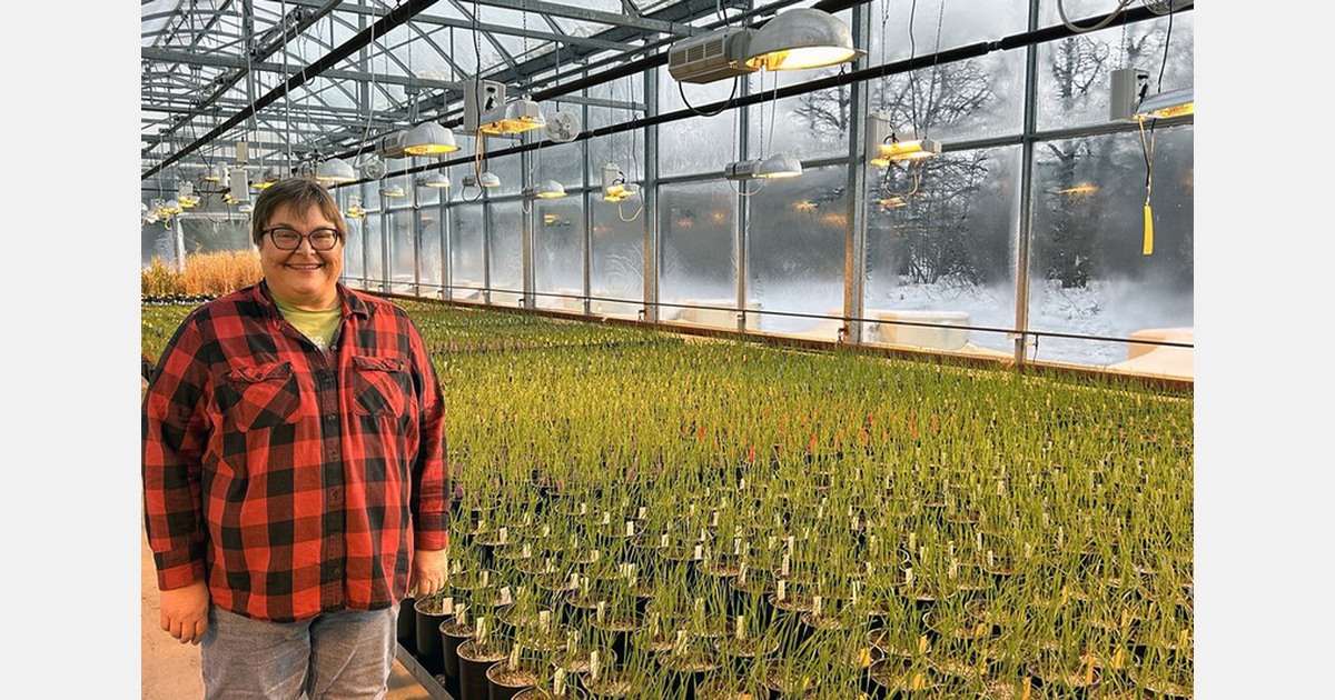 CAN (SK): USask’s Ag Greenhouse is Bantle’s home away from home