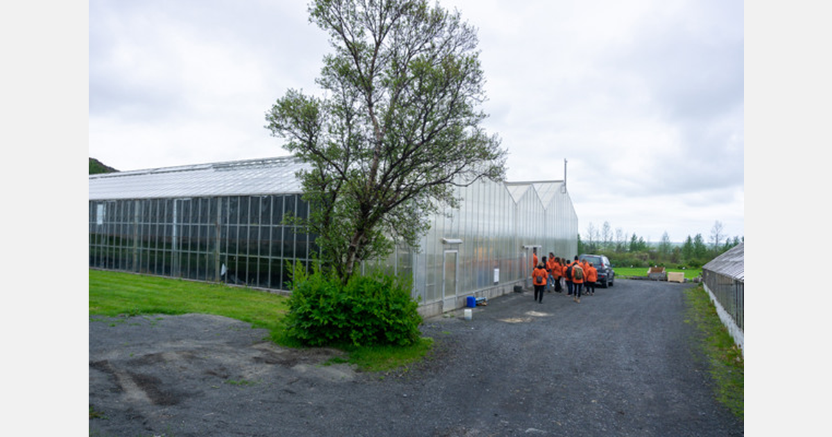Escaping the grey at one of Iceland’s most storied greenhouses