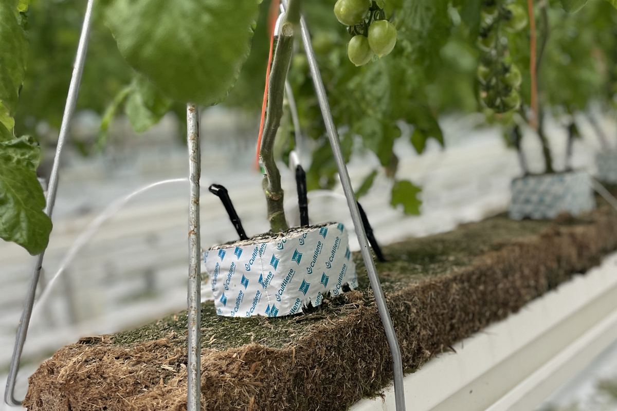 Plastic-free substrate trials ongoing