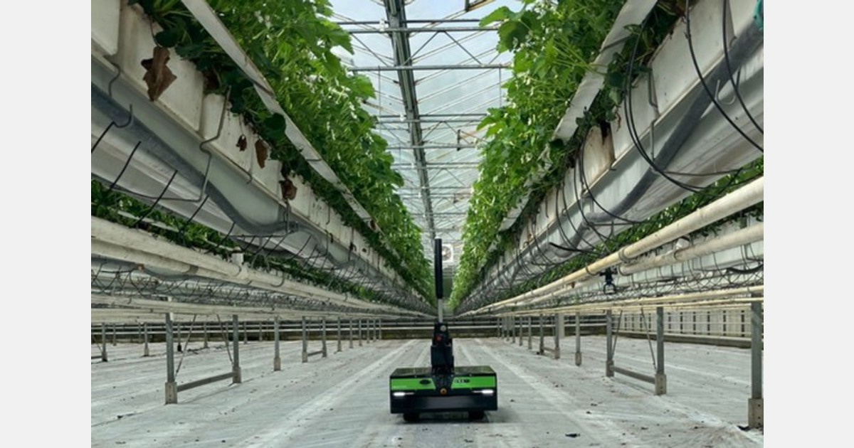 UV-C robot for greenhouses without rails available
