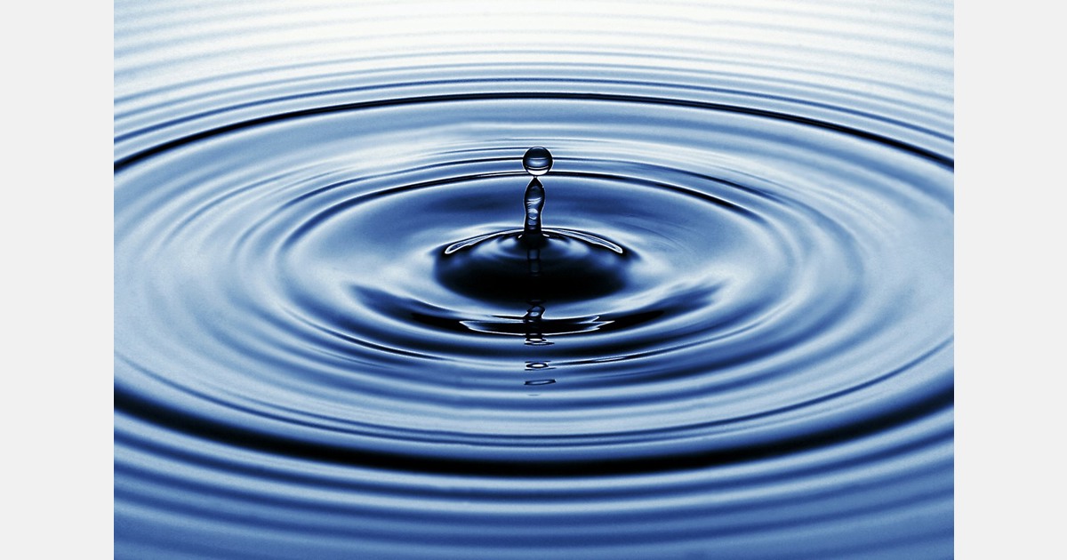 Researchers examine the effects of watering practices on tomato health