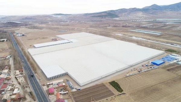 200 ha agricultural park planned in Inner Mongolia