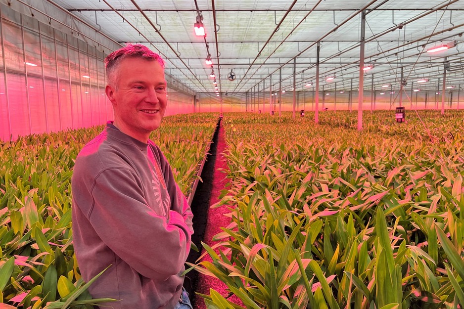 New Dutch lighting company aims to "LED the way"