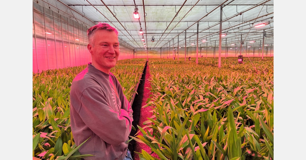 New Dutch lighting company aims to "LED the way"