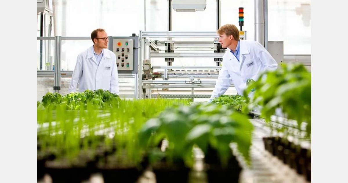 Industrial compostable biopolymer for greenhouse twines