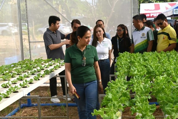 Philippines: Smart greenhouse project for cooperatives launched in Batangas