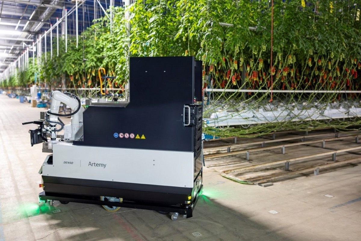 A fully automated cherry truss tomato harvesting robot to hit the market