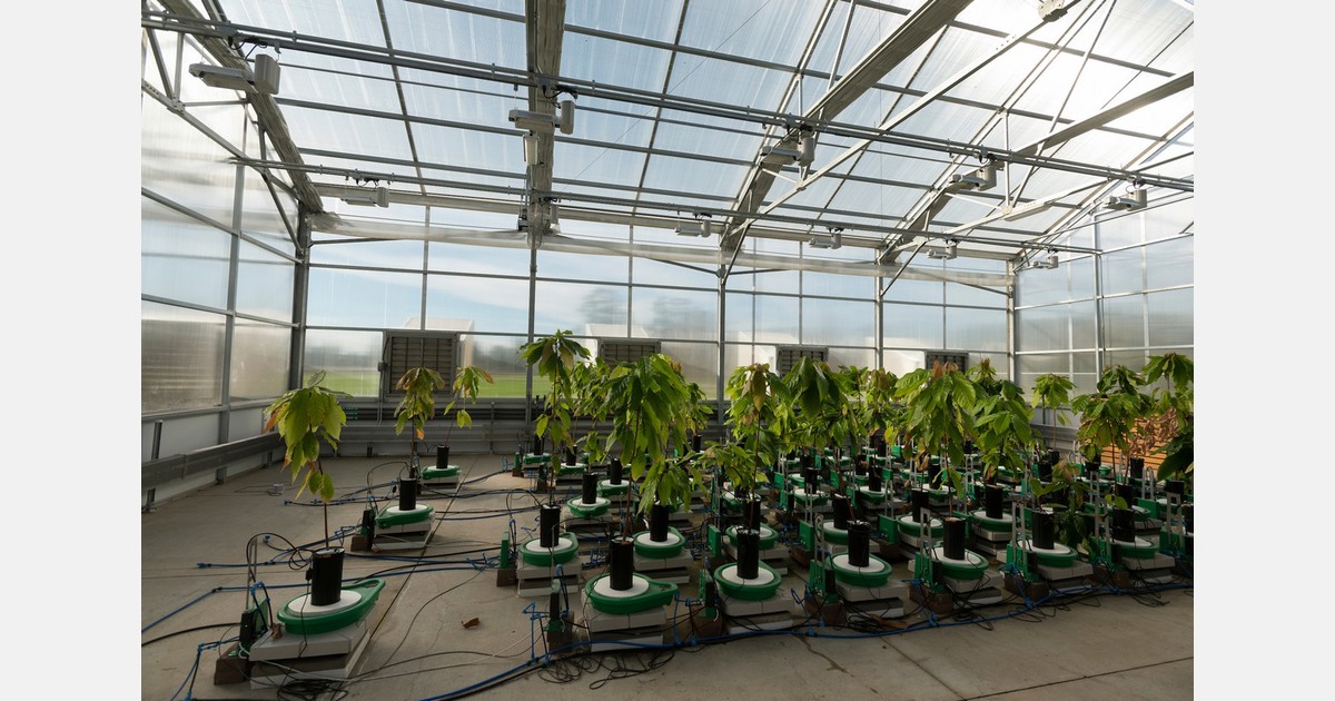 Priva s'associe à UC Davis pour soutenir le programme de certificat CEA - Nouvelles Du Monde