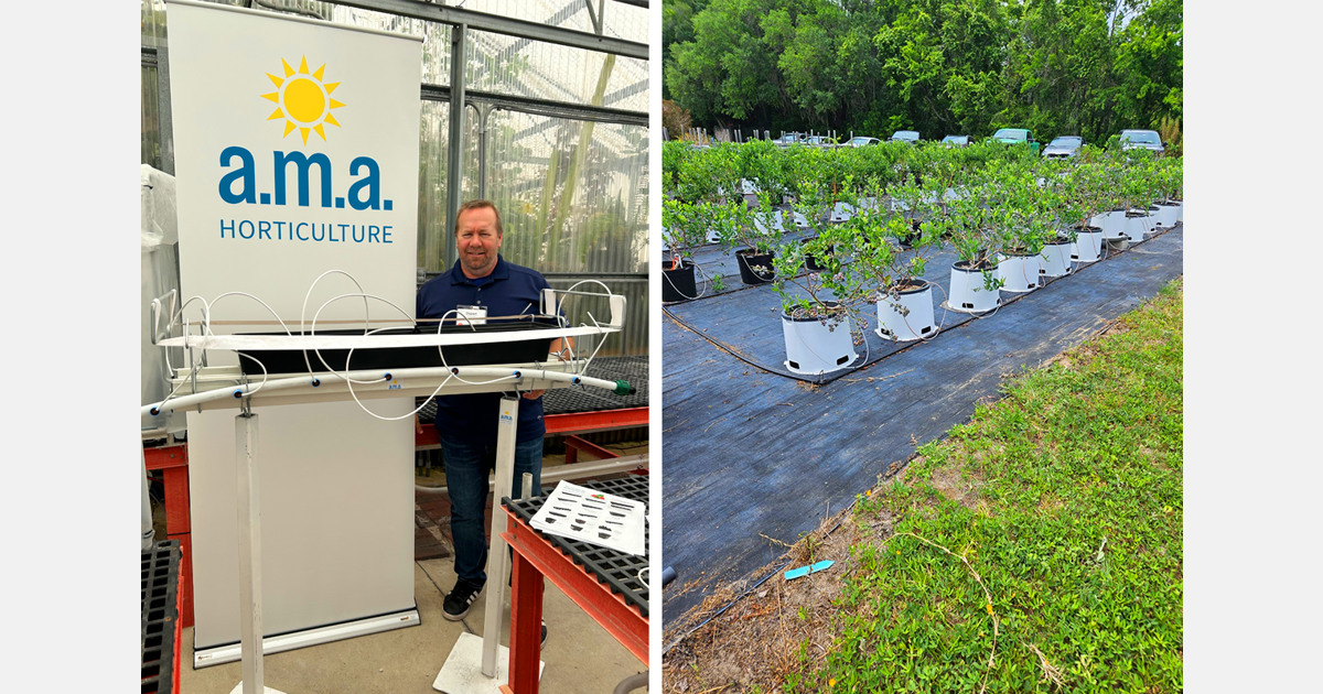 Why root health matters