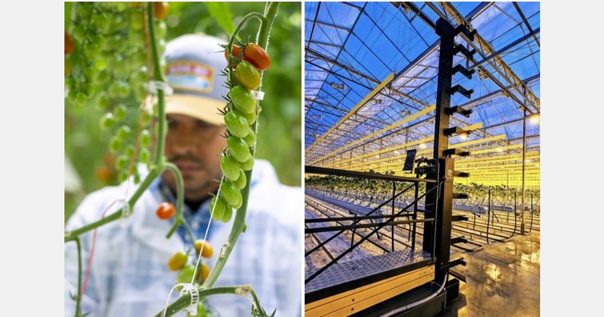 Collecting living data by measuring plants with AI