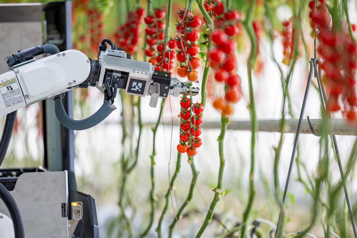 Visit to see the newest harvest robot in action during GreenTech