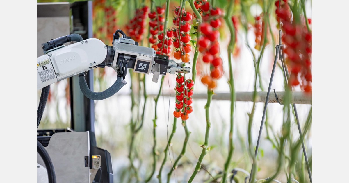Visit to see the newest harvest robot in action during GreenTech