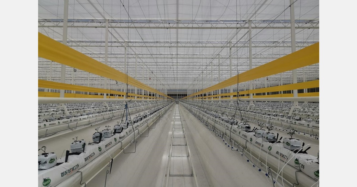 Plants in second phase of semi-closed greenhouse Cuihu Project