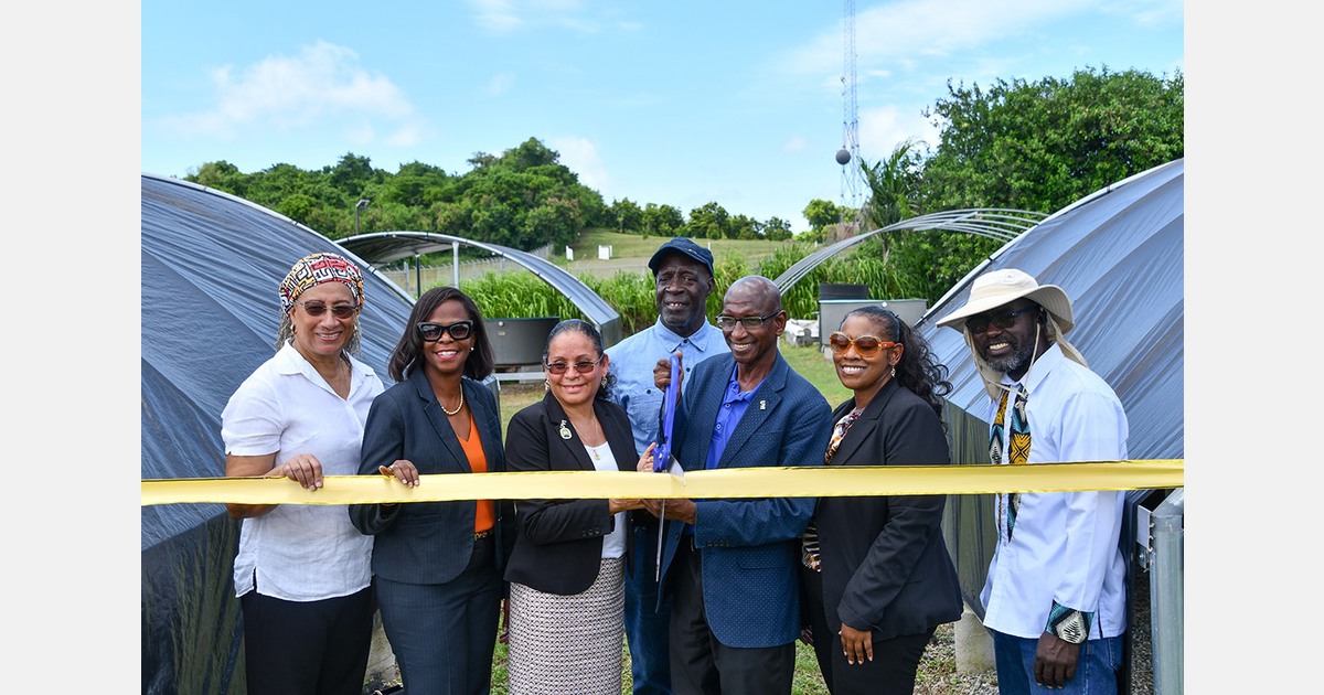 University of Virgin Islands celebrates relaunch of aquaponics facility