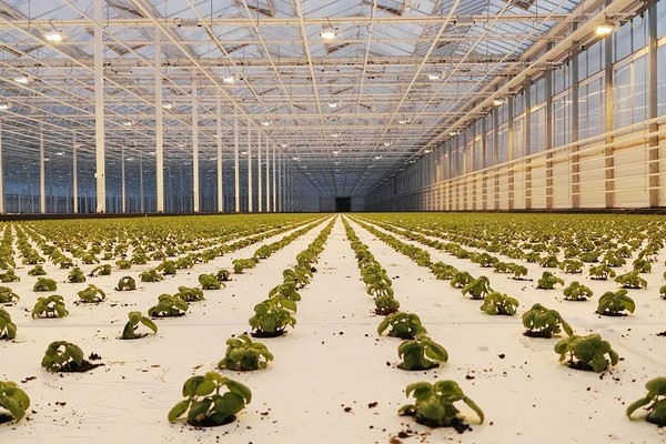 Hort Americas partners with Meteor Systems to distribute HDPE floating ...