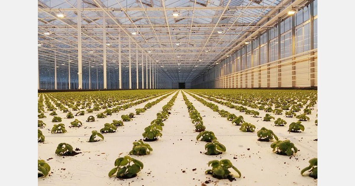 Hort Americas partners with Meteor Systems to distribute HDPE floating ...