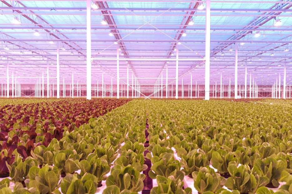 Greenhouse expansion projects