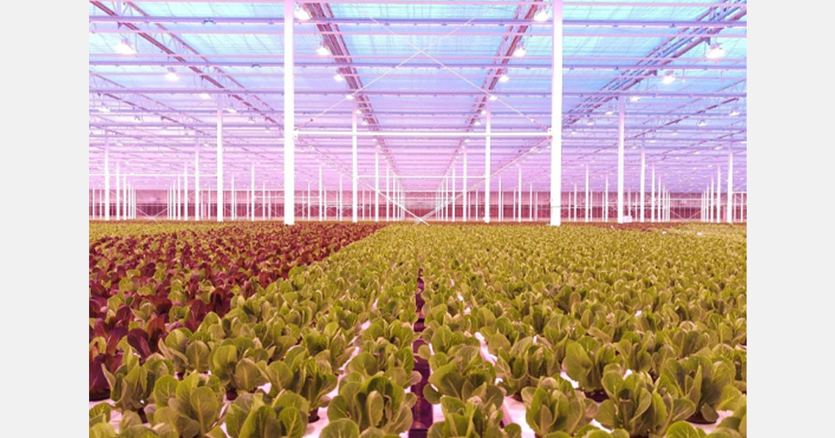 Life Cycle Analysis for high-tech greenhouses introduced