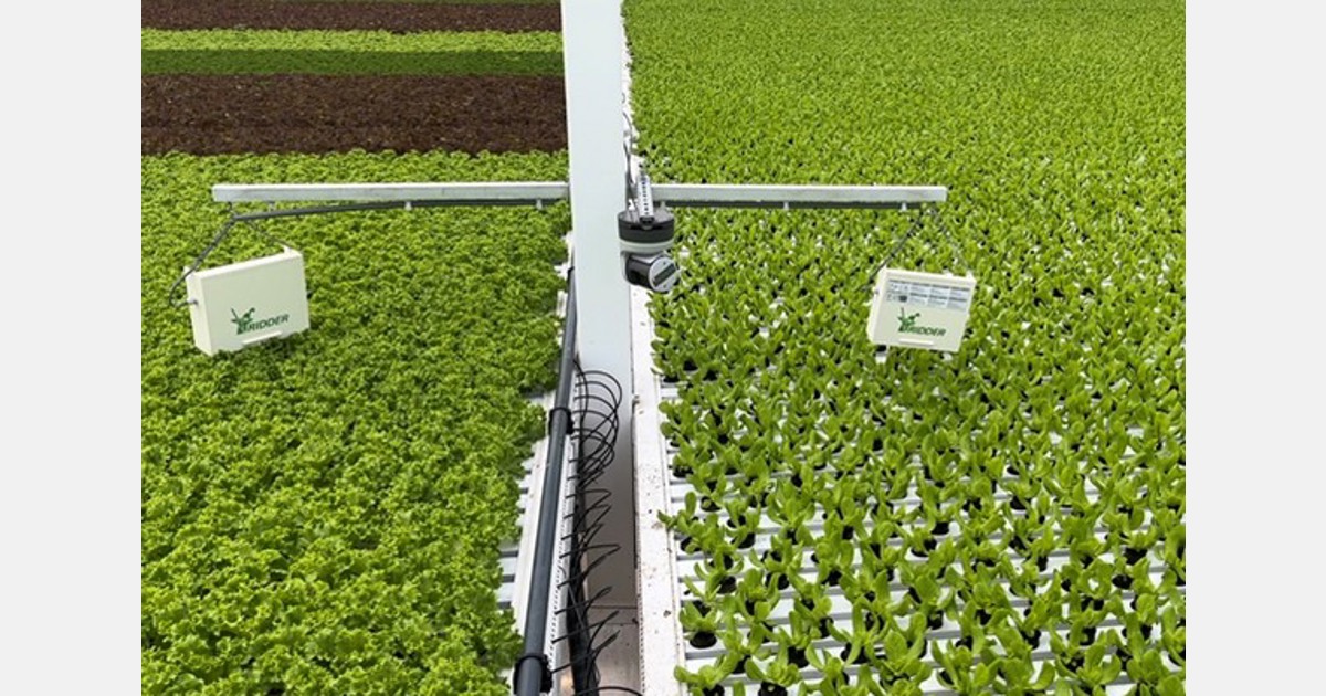 Gardin now integrated in Ridder’s climate computer to offer real-time ...