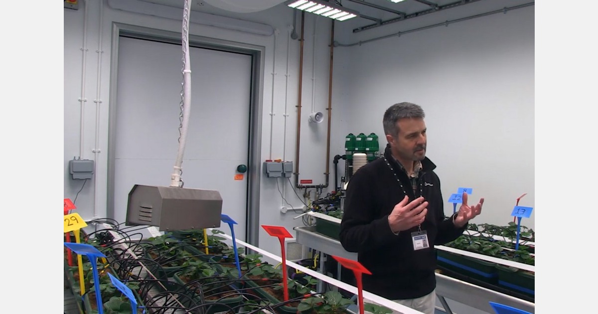 How NIAB East Malling use Delta-T sensors in their growroom research
