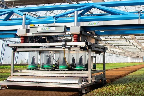 Certified organic greenhouse uses AI to finetune precision robotics