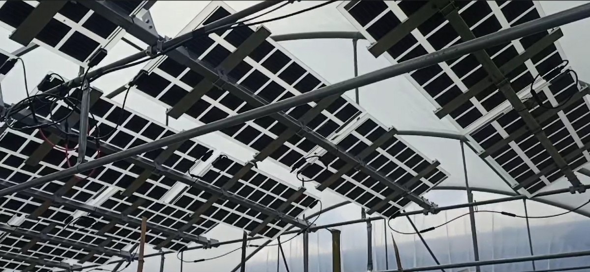 Growing greenhouse veggies with a side of solar power