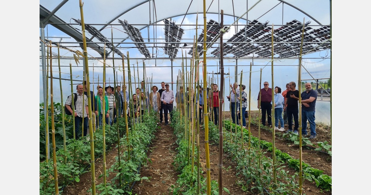 Growing greenhouse veggies with a side of solar power