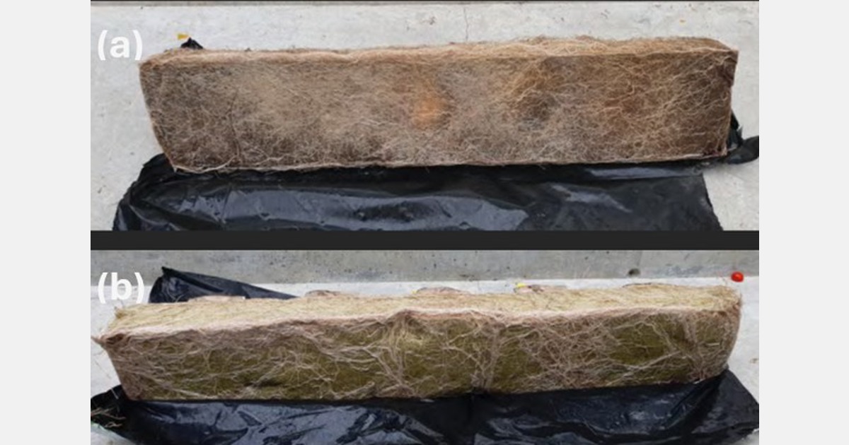 Viable alternatives to stone wool and perlite for tomatoes and cucumbers