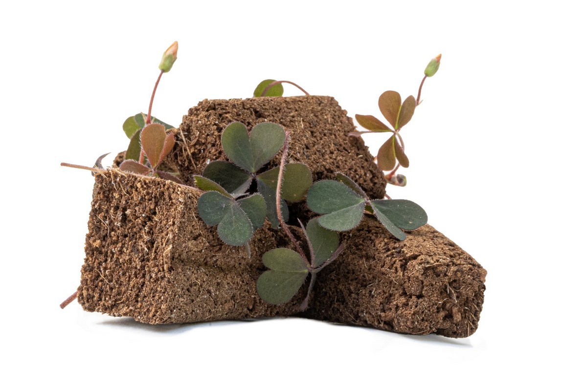 In-line sanitation for substrates in vertical farming