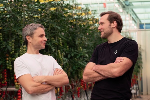 Labor and automation